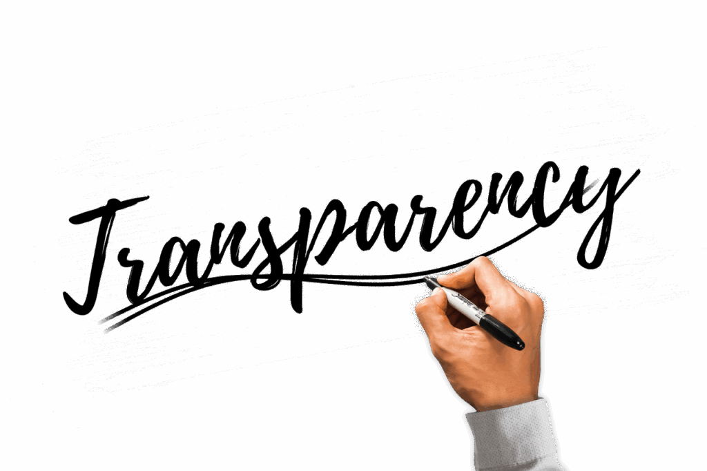 Balancing Transparency and Confidentiality: Disclosing Sensitive ...