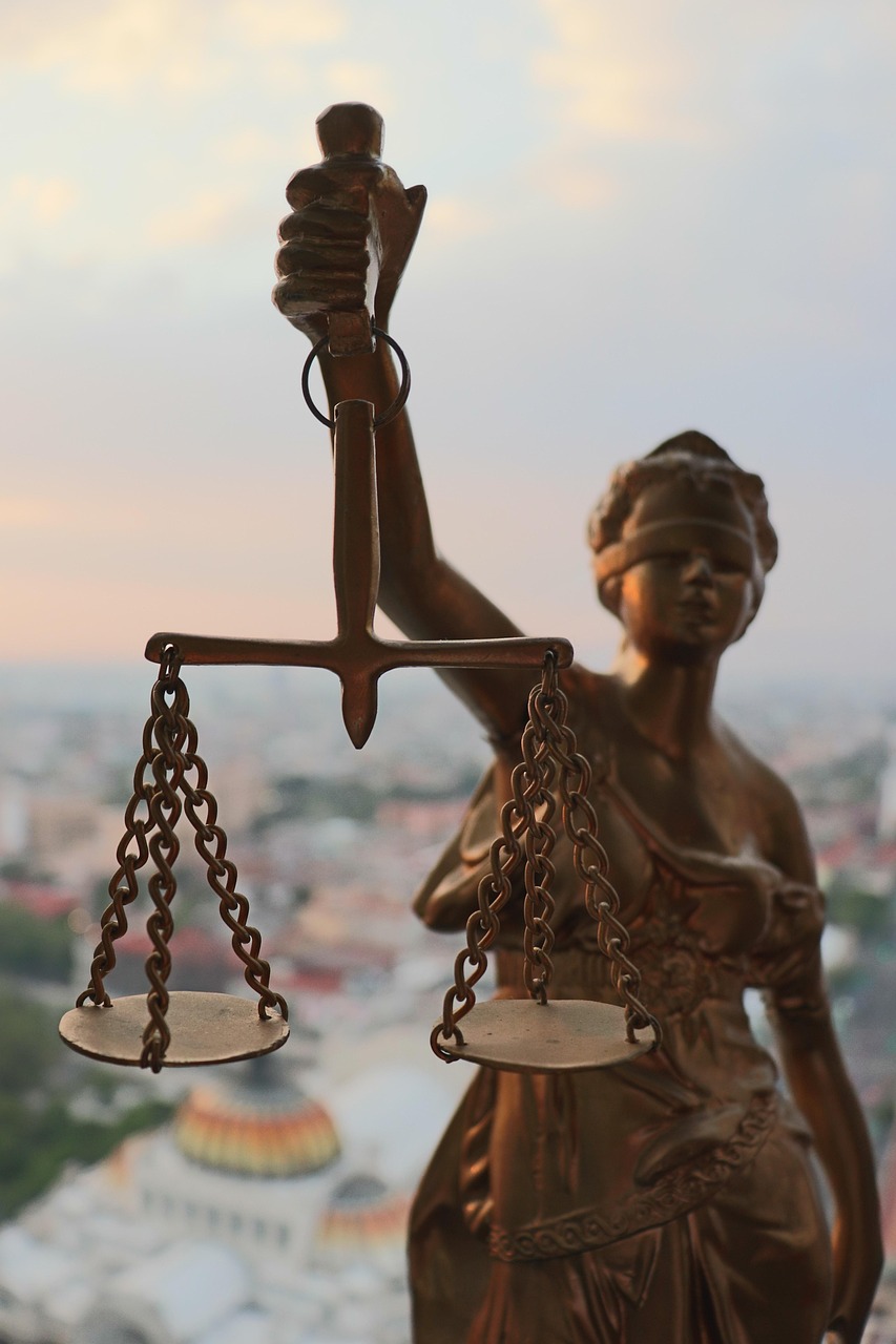 Balancing Transparency and Confidentiality: Disclosing Sensitive ...