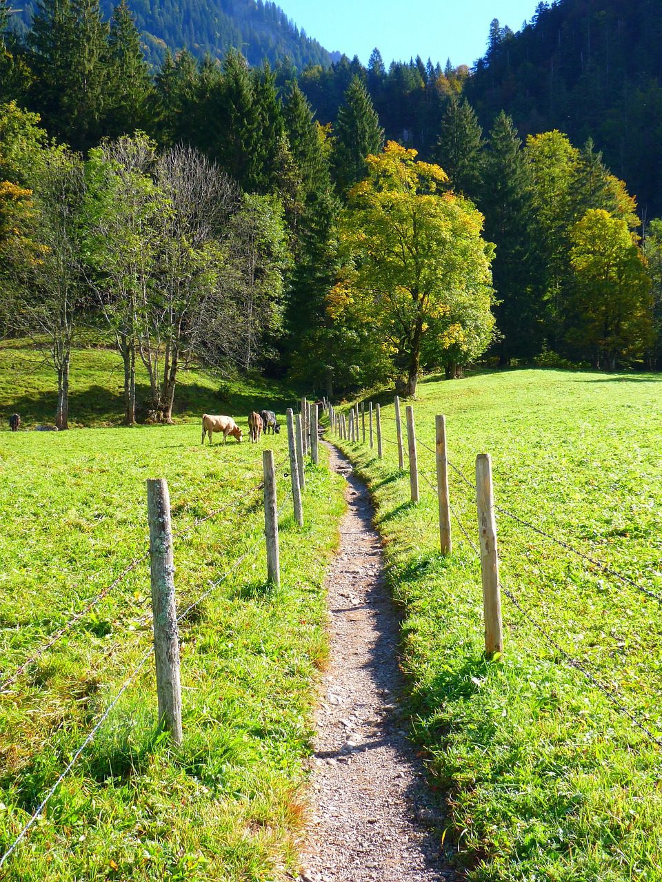 Top 10 Adventure Travel Tips for Budget Backpackers: Solo Exploration ...